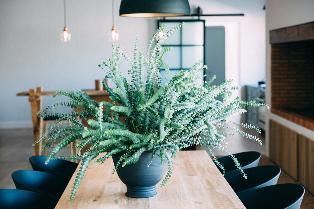 House Burden – NM Design & Interior